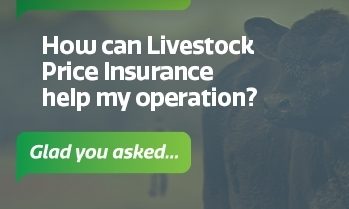 Current Career Openings | SCIC